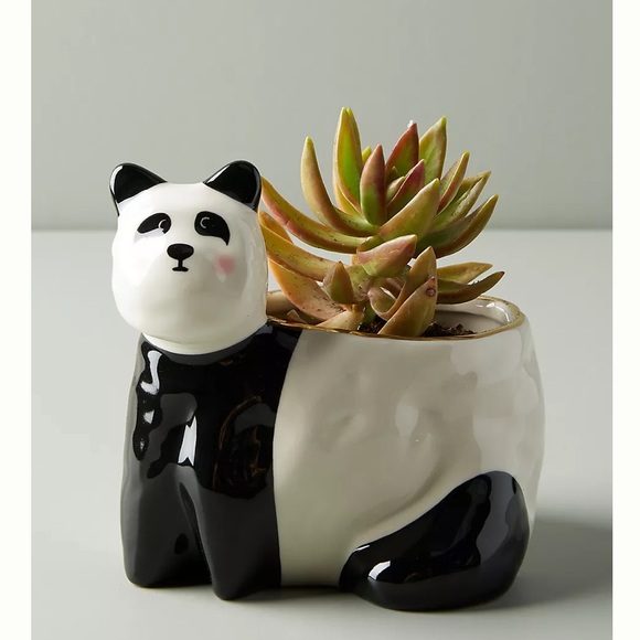 Anthropologie | Accents | Anthropologie Gail Cc Ceramics Flecked Fauna ...